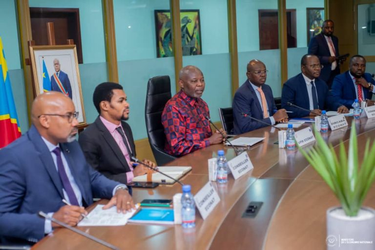 RDC : Le VPM, ministre de l'économie nationale, Vitale Kamereh suspend ...